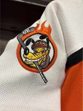 Other | Vintage Walt Disney Plutos Devil Dogs Hockey Jersey | Poshmark